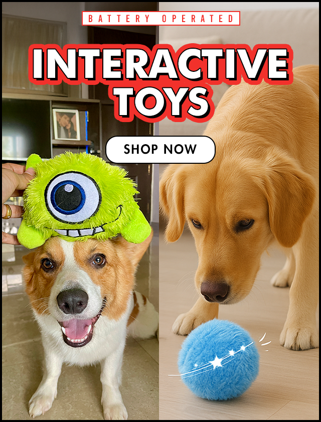 Pawsindia: Pet Store Online | Pet Products Online | Pet Shop Online