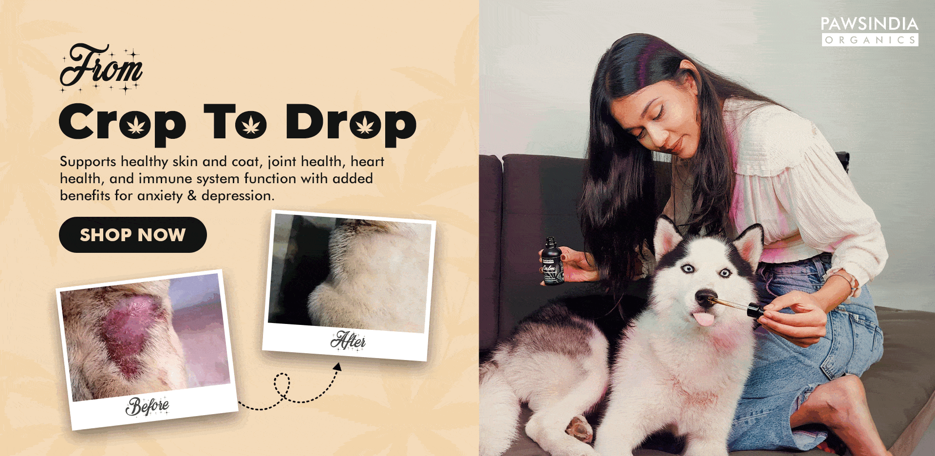 Pawsindia: Pet Store Online | Pet Products Online | Pet Shop Online