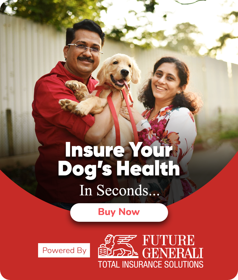 Pawsindia: Pet Store Online | Pet Products Online | Pet Shop Online