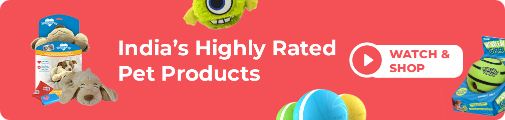 Pawsindia: Pet Store Online | Pet Products Online | Pet Shop Online