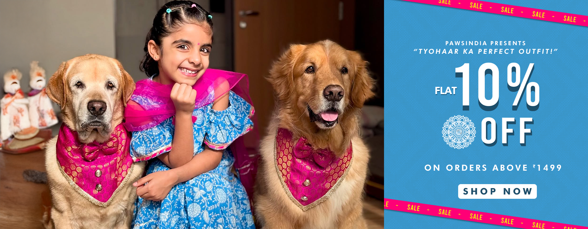 Pawsindia: Pet Store Online | Pet Products Online | Pet Shop Online