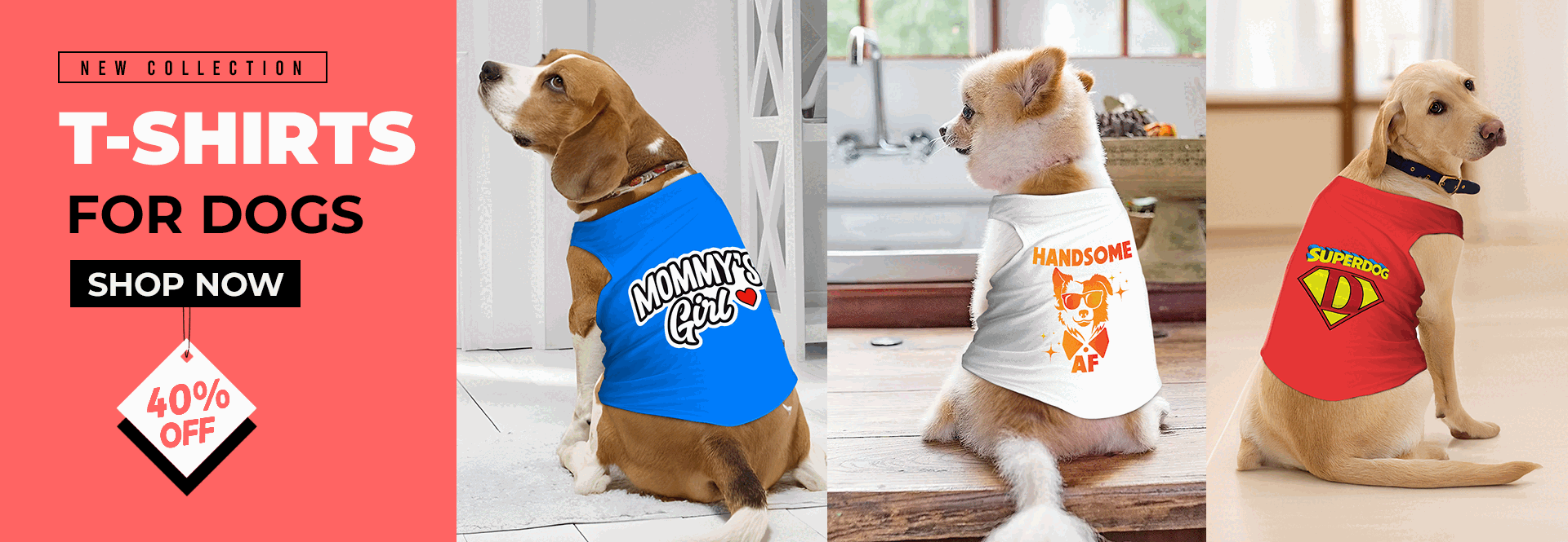 Pawsindia: Pet Store Online | Pet Products Online | Pet Shop Online