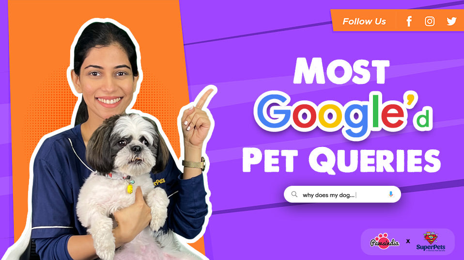 Pawsindia: Pet Store Online | Pet Products Online | Pet Shop Online
