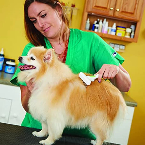 Andis Flexible Rake Comb (Lime Green) – Pawsindia